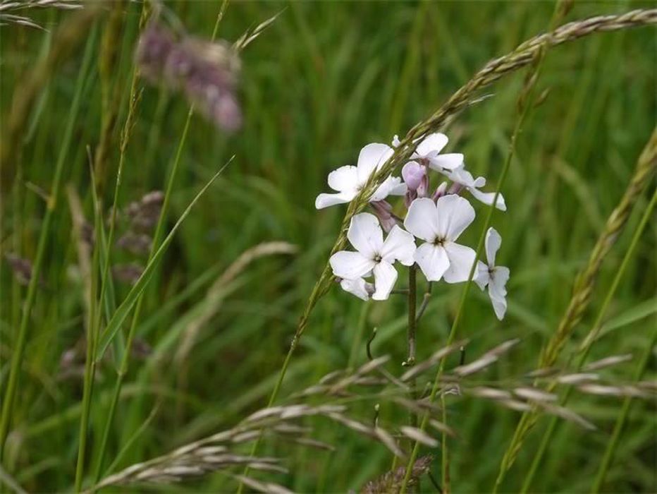 Walkmill Gallery - Walkmill Campsite